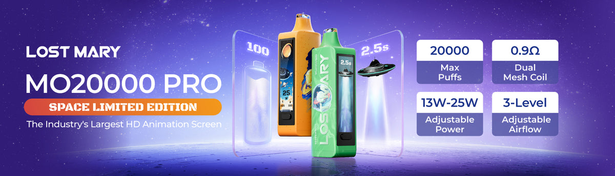 Best Online Vape Shop for Disposable Vapes - VapoRider