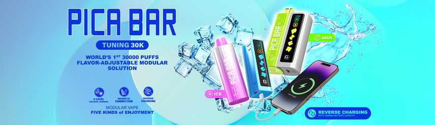 PICA BAR "TUNING" 30K – 30,000 Puff Disposable Kit with Adjustable ...